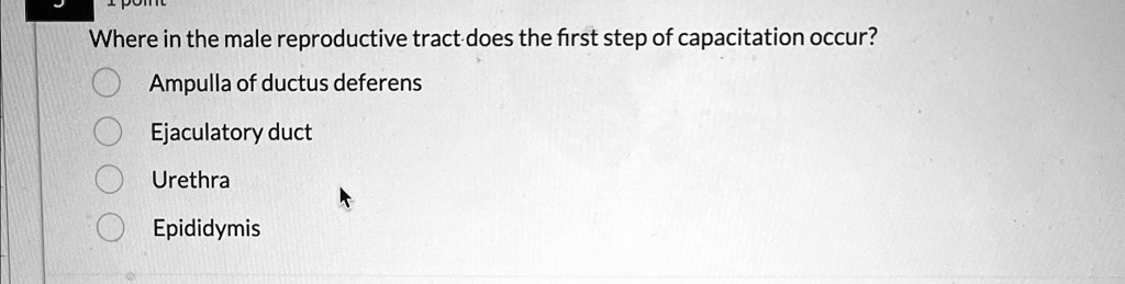 Where in the male reproductive tract-does the first step of ...