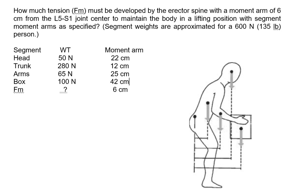 [GET ANSWER] How much tension (Fm) must be developed by the erector ...