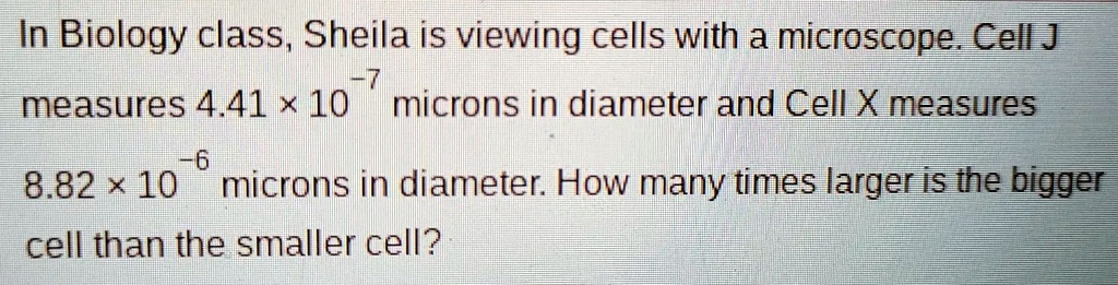 SOLVED: In Biology class, Sheila is viewing cells with a microscope ...