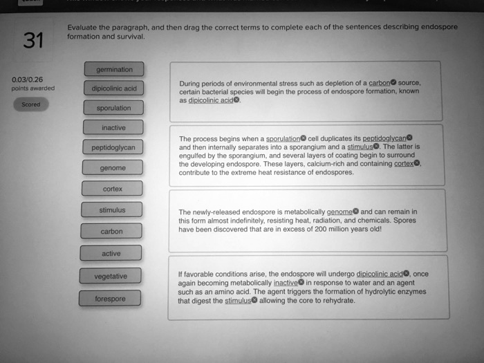 Evaluate the paragraph; and then drag the correct terms complete each ...