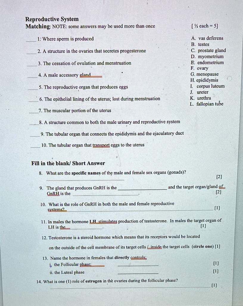 Reproductive System Matching: NOTE: some answers may be used more than ...