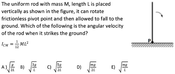 SOLVED: The uniform rod with mass M, length L is placed vertically as shown in the figure it can ...