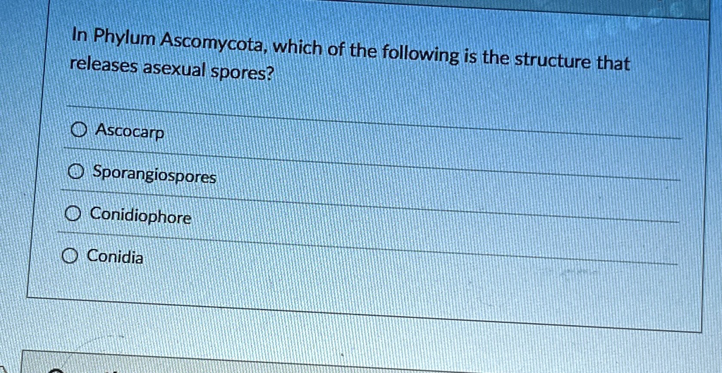 In Phylum Ascomycota, which of the following is the structure that releases asexual spores ...