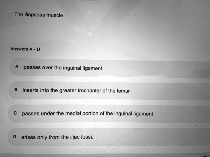 The iliopsoas muscle Answers A-D passes over the inguinal ligament B ...