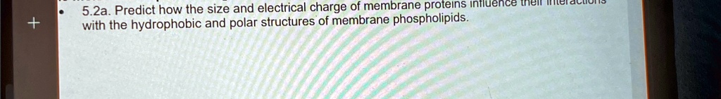 predict how the size and electrical charge of membrane proteins ...