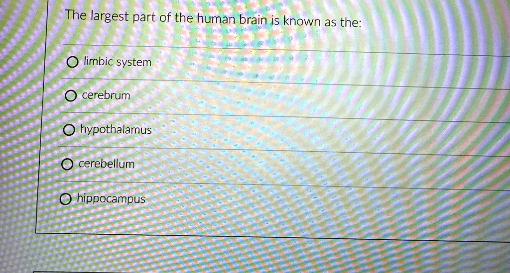 The largest part of the human brain is known as the: ? limbic system ...
