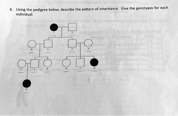 6. Using the pedigree below, describe the pattern of inheritance. Give ...