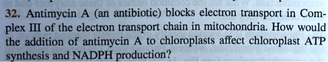 32. Antimycin A (an antibiotic) blocks electron transport in Complex ...