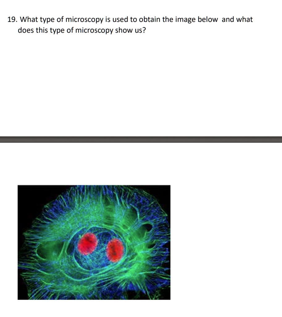 19. What type of microscopy is used to obtain the image below and what ...