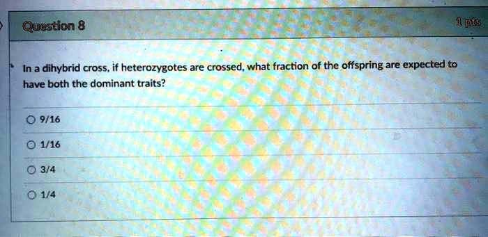 SOLVED: Question 8 @pts In a dihybrid cross; heterozygotes are crossed ... SOLVED: Question 8 @pts In a dihybrid cross; heterozygotes are crossed ...