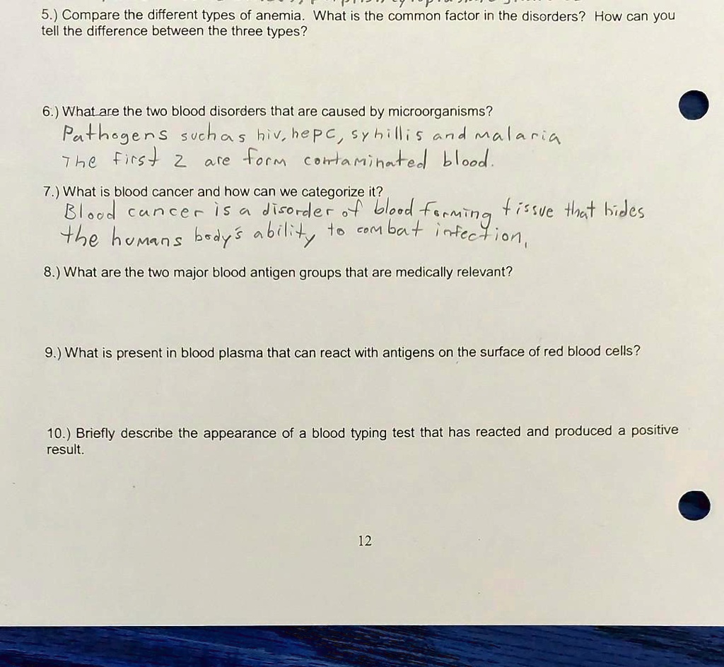 SOLVED: Lab review questions: The blood system, cardiovascular system ...