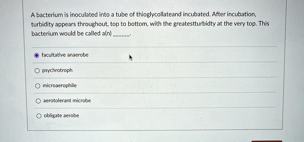 A bacterium is inoculated into a tube of thioglycollateand...