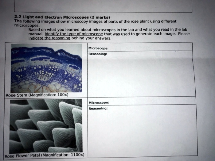 2.2 Light and Electron Microscopes (2 marks) The following images show ...