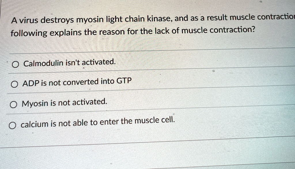 a virus destroys myosin light chain kinase and as a result muscle ...