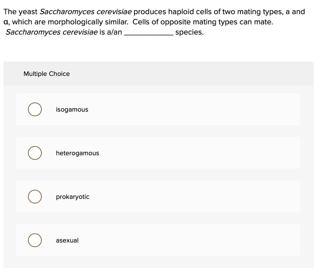 SOLVED: The yeast Saccharomyces cerevisiae produces haploid cells of ...
