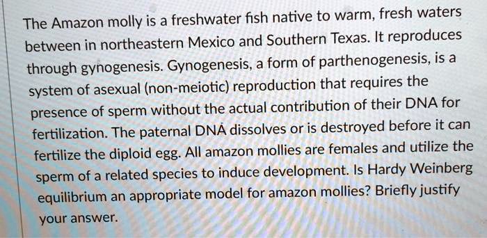 the amazon molly is a freshwater fish native to warm fresh waters ...