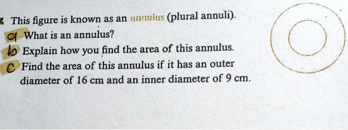 SOLVED:This figure is known as an Huuius (plural annuli) What is an ...