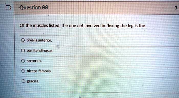 SOLVED: Of the muscles listed, the one not involved in flexing the leg ...
