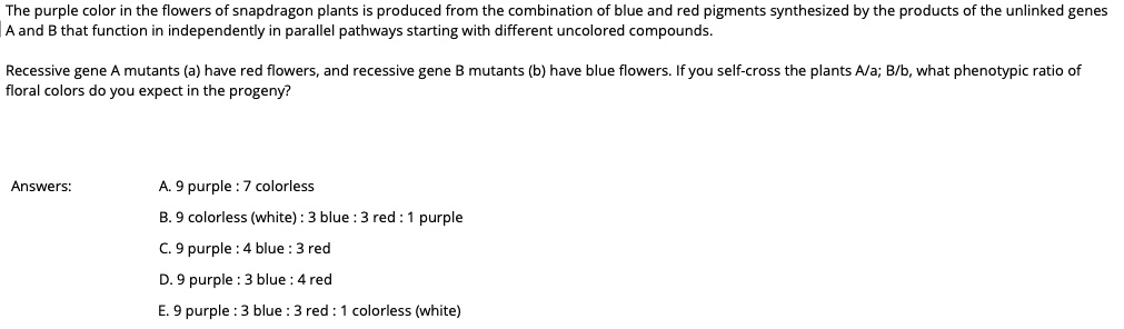 SOLVED: The purple color in the flowers of snapdragon plants is ...