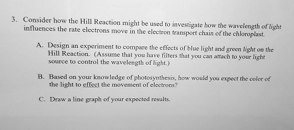SOLVED: Consider how the Hill Reaction might be used to investigate how ...