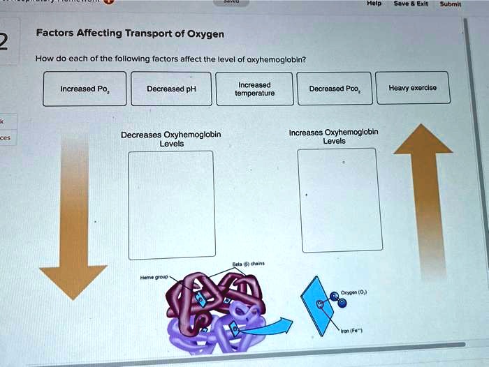 2 Factors Affecting Transport of Oxygen How do each of the following ...