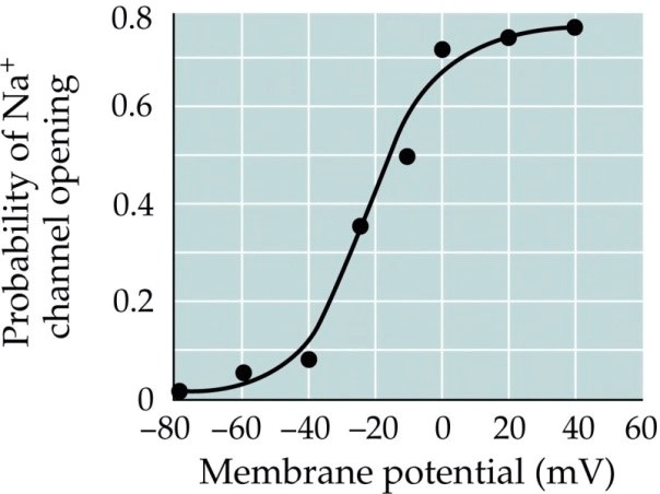 SOLVED: Refer to the graph: Which statement does the graph illustrate ...