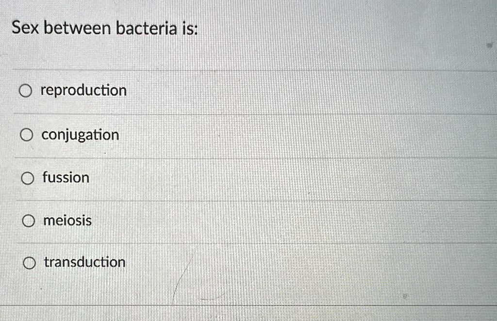 Sex Between Bacteria Is Reproduction Conjugation Fussion Meiosis