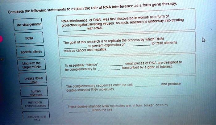 SOLVED: RNA Interference as form gene tnerapy- statements to explain ...
