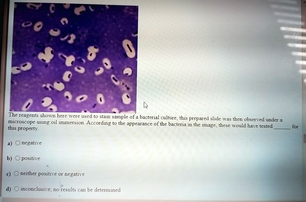 the reagents shown here were used to stain sample of a bacterial ...