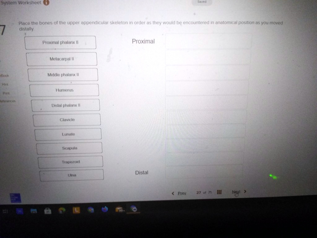 System Worksheet 1 7 Saved Place the bones of the upper appendicular skeleton in order as they ...