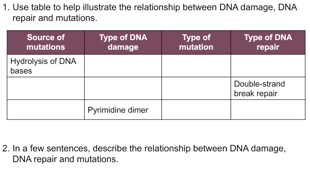 SOLVED: 1 Use table to help illustrate the relationship between DNA ...