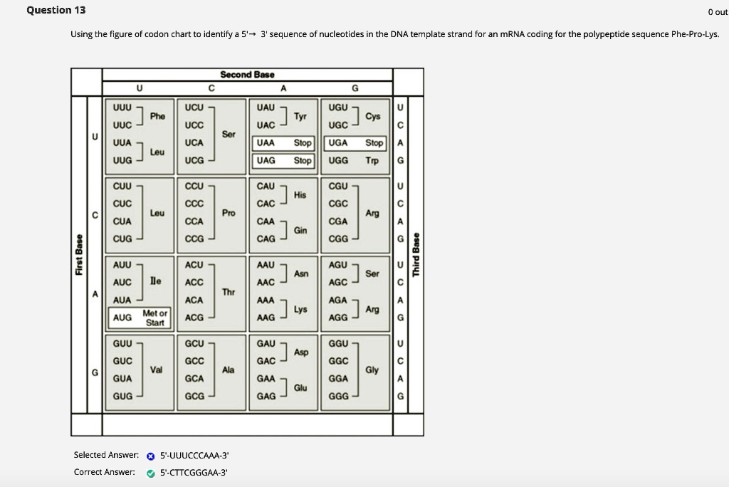 question 13 using the flgure of codon chart to identify 5 sequence of nucleotides in the dna ...