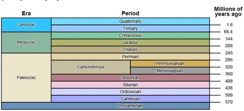SOLVED: ASP, please study the diagram of the geologic time scale. Which ...