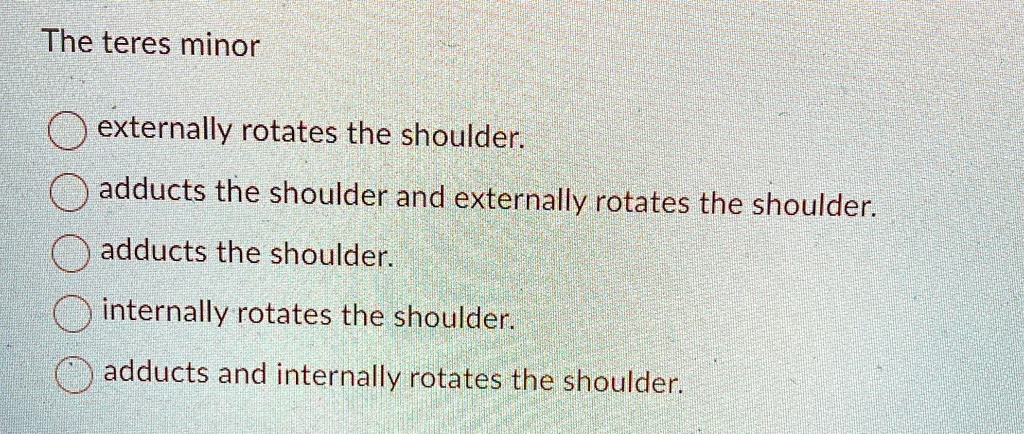 The teres minor externally rotates the shoulder. adducts the shoulder ...