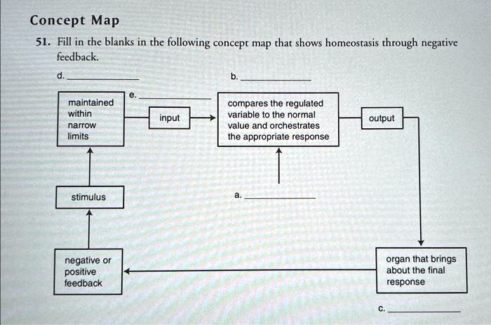 SOLVED: Concept Map 51. Fill in the blanks in the following concept map ...
