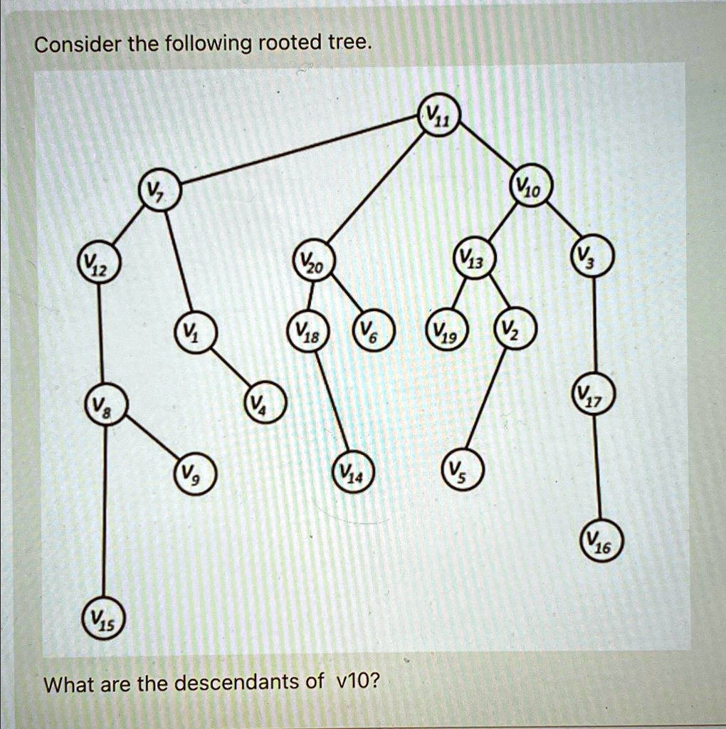Consider The Following Rooted Tree What Are The Descendants Of V10