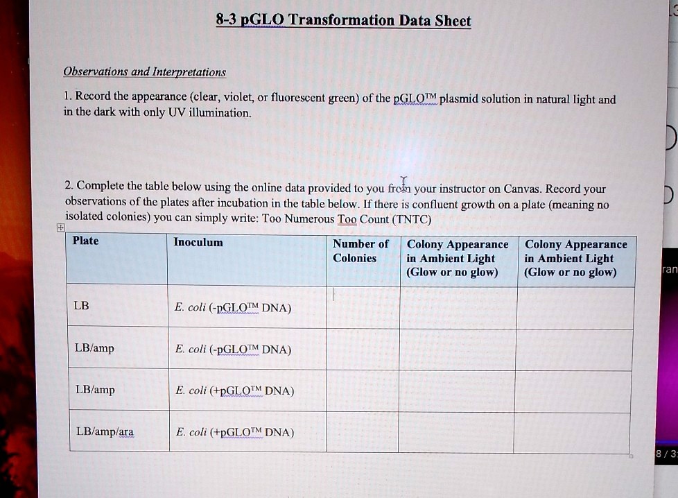 8 3 pglo transformation data sheet observations and interpretations ...