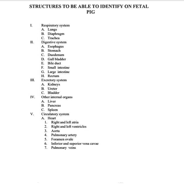 SOLVED: Draw and label each structure for the fetal pig. STRUCTURES TO ... SOLVED: Draw and label each structure for the fetal pig. STRUCTURES TO ...