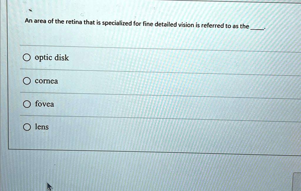 SOLVED: An area of the retina that is specialized for fine detailed ...