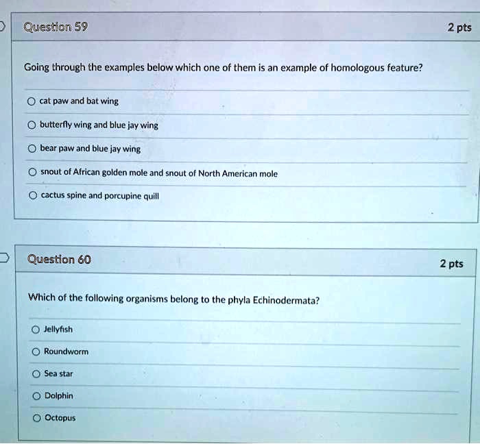 SOLVED: Question 59 Going through the examples below, which one of them ...