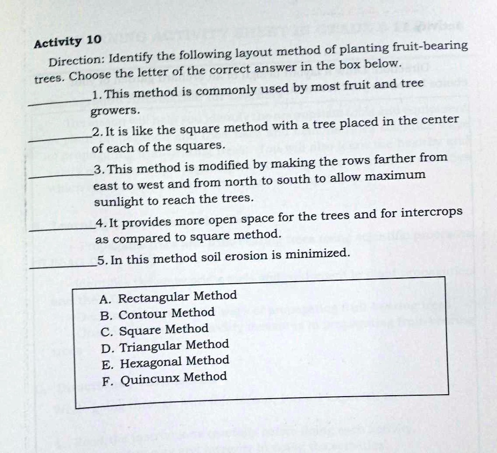 Activity 10 Direction: Identify the following layout method of planting ...