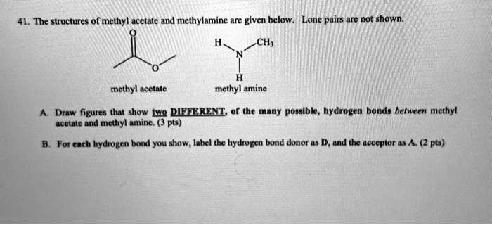 SOLVED: The struclures of methyl acetale and methylamine are given ...