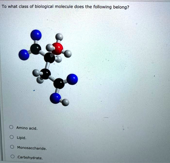 SOLVED: To what class of biological molecule does the following belong ...