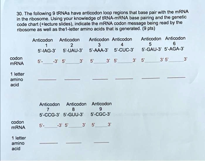 SOLVED: 30. The following 9 tRNAs have anticodon loop regions that base ...