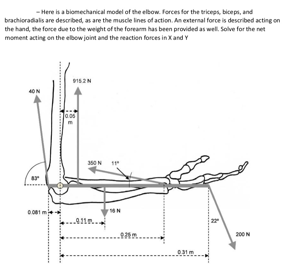 SOLVED: Here is a biomechanical model of the elbow. Forces for the triceps, biceps, and ...