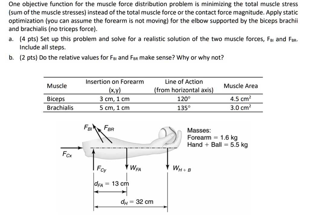 One objective function for the muscle force distribution problem is ...