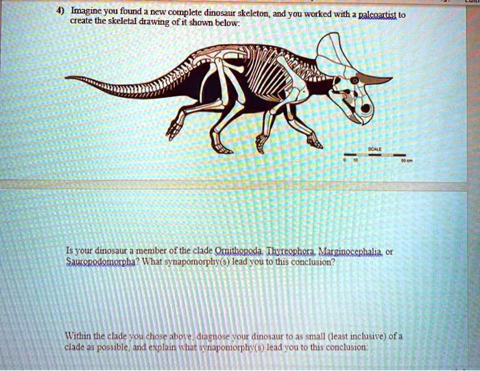 Imagine you found a new complete dinosaur skeleton and you worked with ...