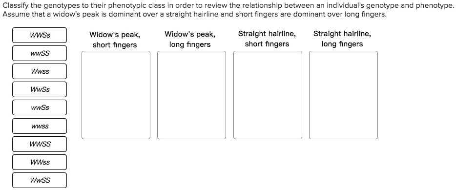 SOLVED: Classify the genotypes to their phenotypic class in order to ...