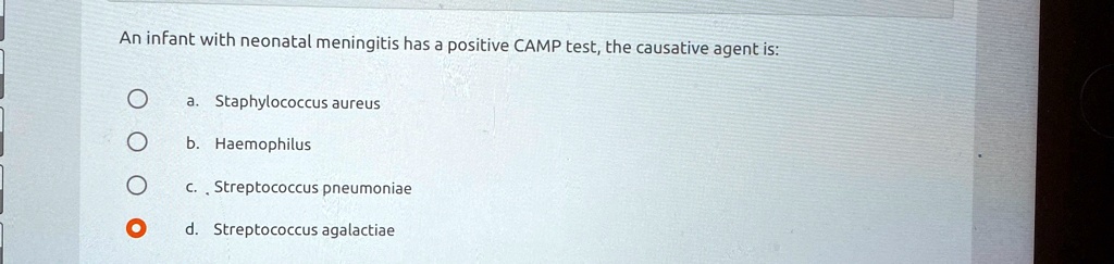 SOLVED: An infant with neonatal meningitis has a positive CAMP test ...