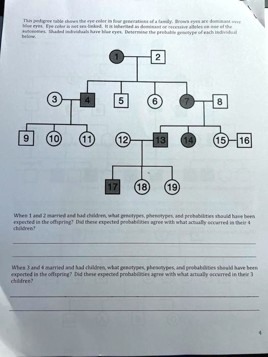 Family Pedigree Chart Eye Color